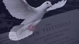 The Role Of The Holy Spirit In The New Testament - Kmacims | Education ...